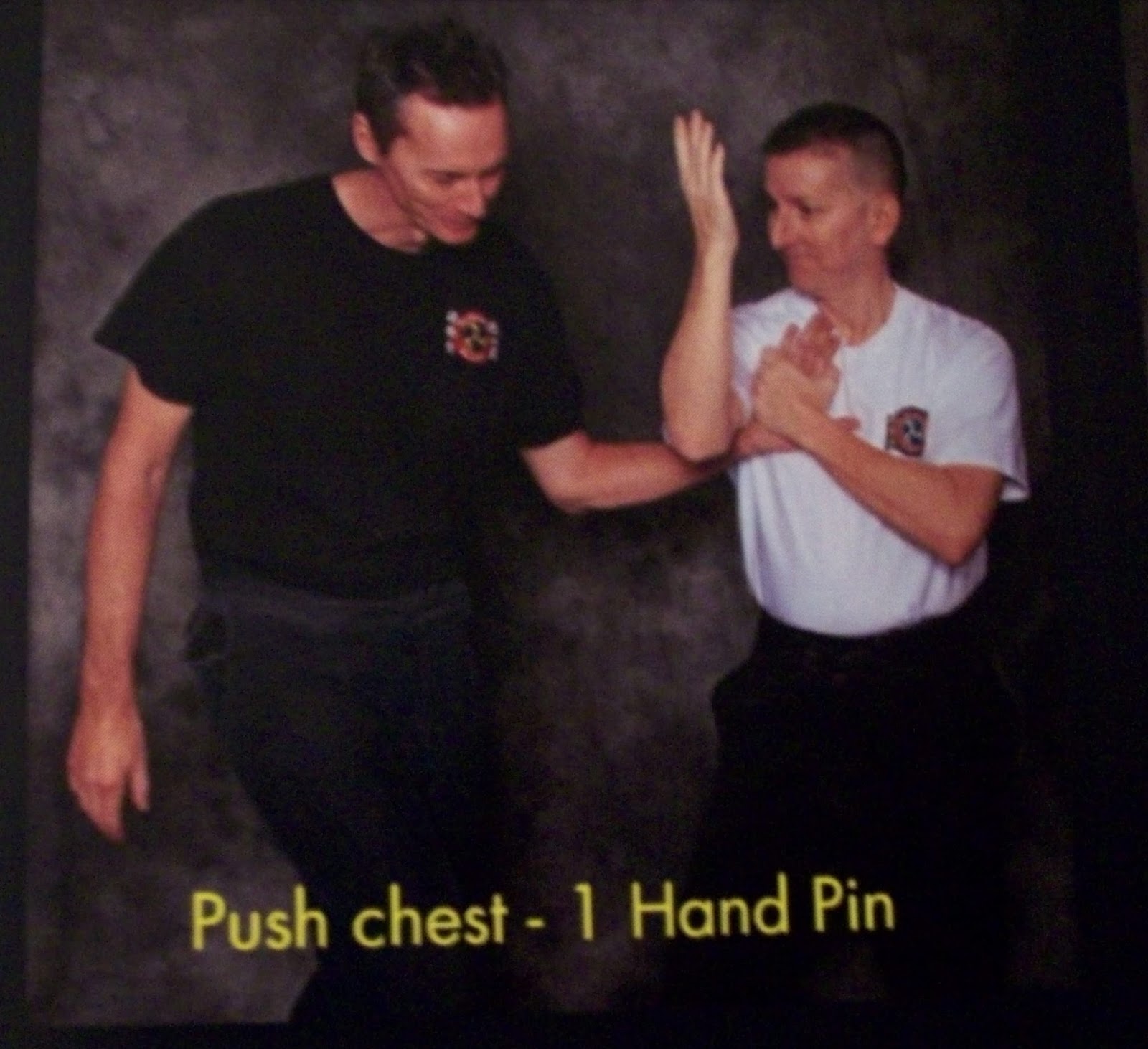 Tuite Jutsu (Personal training/teaching methodologies in Te): The 6 ...