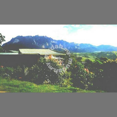 Homestay Di Sabah (Kota Kinabalu - Kundasang - Seluruh Sabah) : Satinah ...
