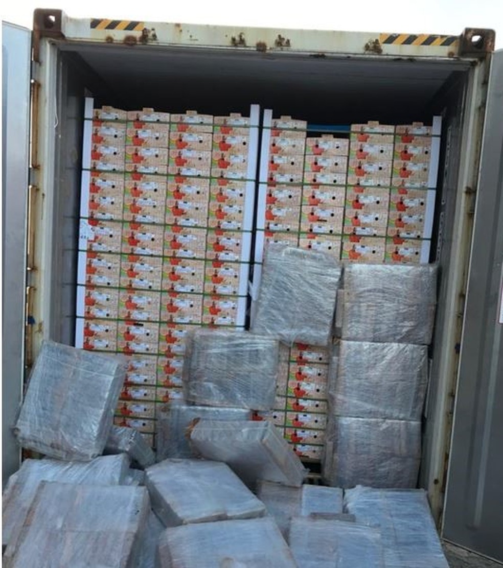 Porto de Natal: Quase 704 kg de cocaína foram encontrados dentro de ...