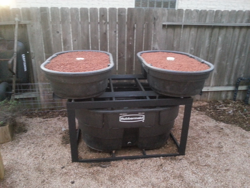 Affnan's Aquaponics: Aaron Gant, Katy Texas