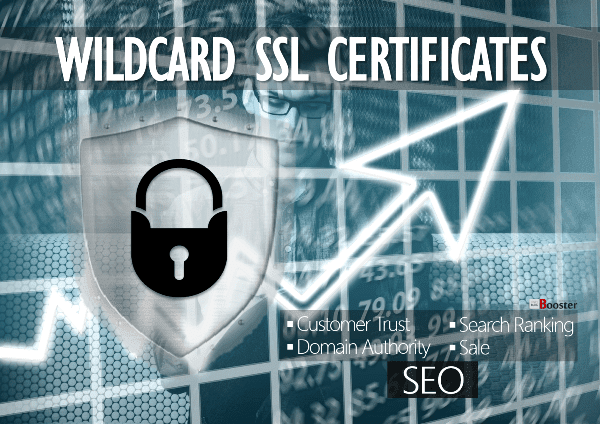 What is Wildcard SSL Certificates & Its Importance to Business ...