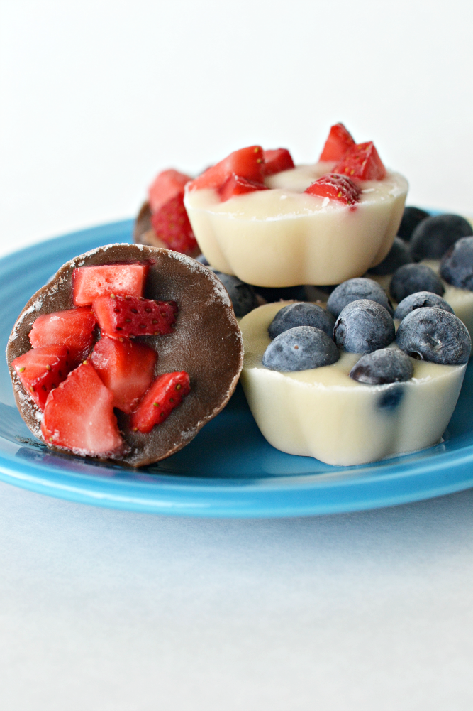 The Life of Jennifer Dawn: Fruity Frozen Pudding Bites