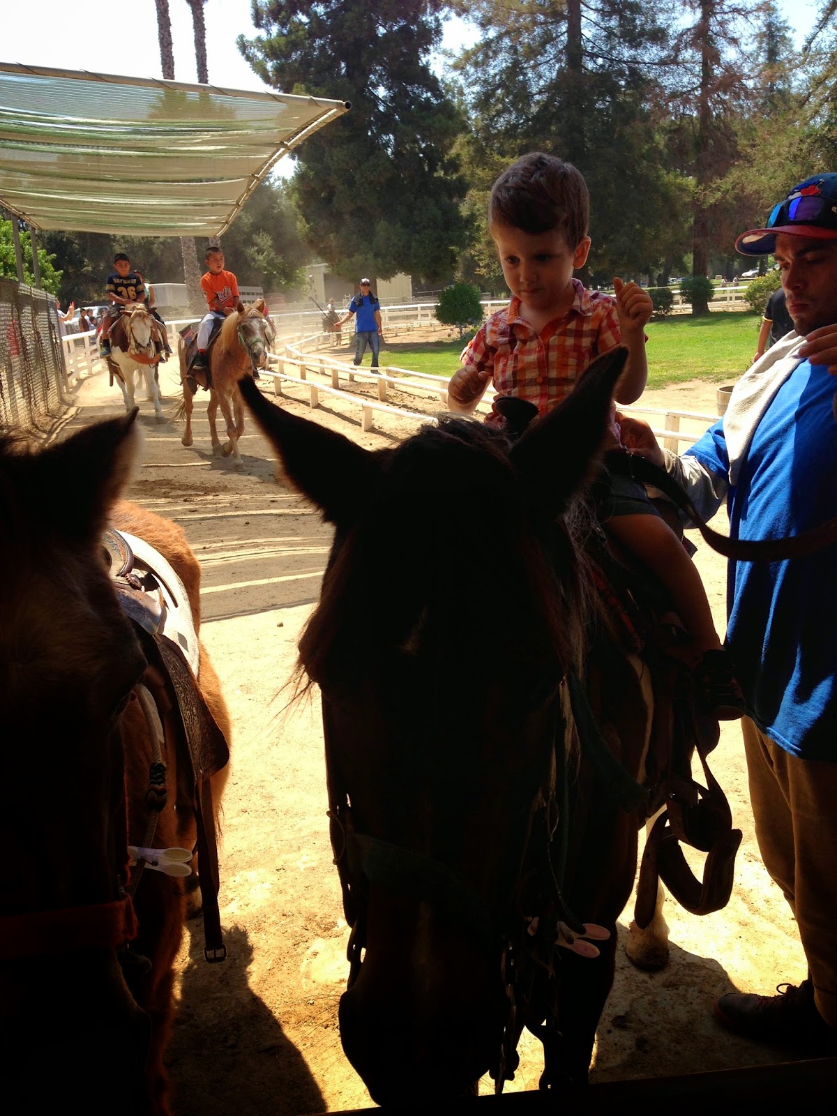 Children's Fun Places in Griffith Park: Pony Rides