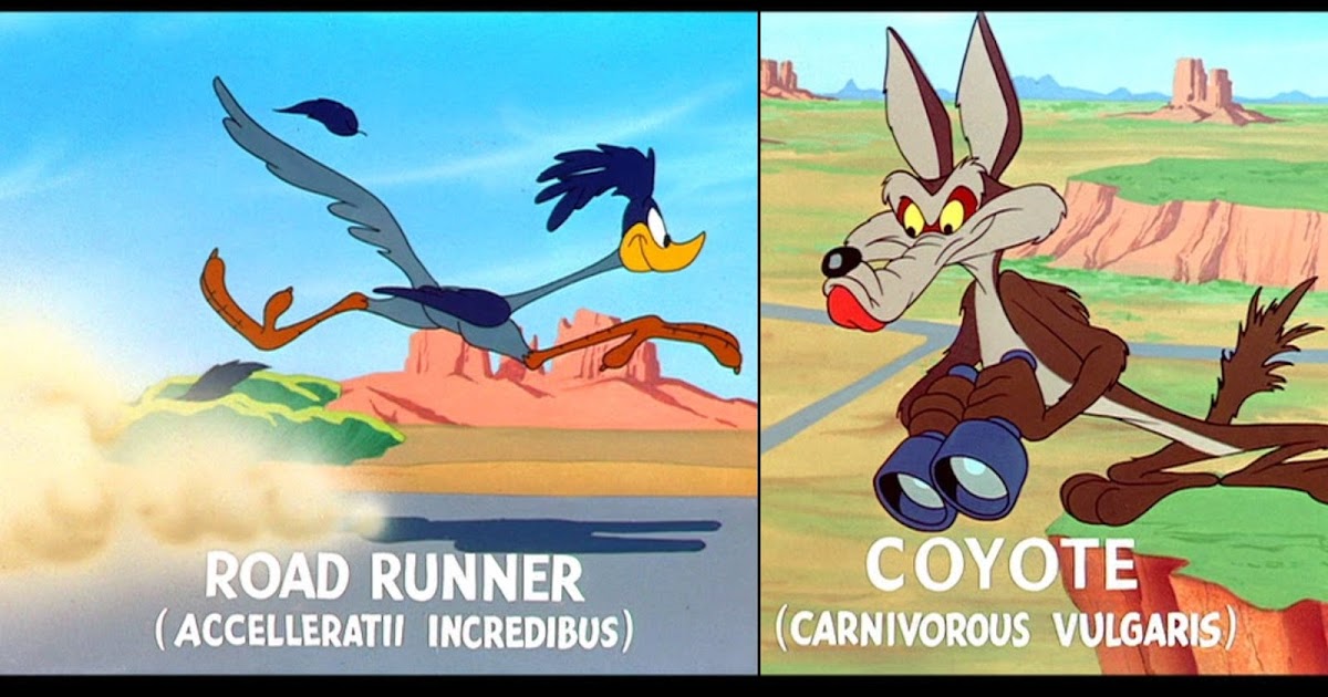 Road Runner Dynamite