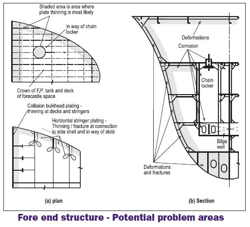 Marine Survey Practice: Surveyor Guide Notes for Container Ship Survey