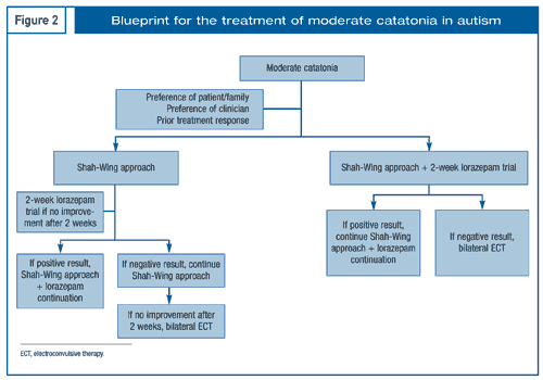 AUTISM, treatment: Autism Treatments,Strategies and Therapies