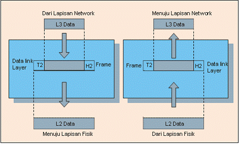 Lapisan menurut osi | Citra teknologi
