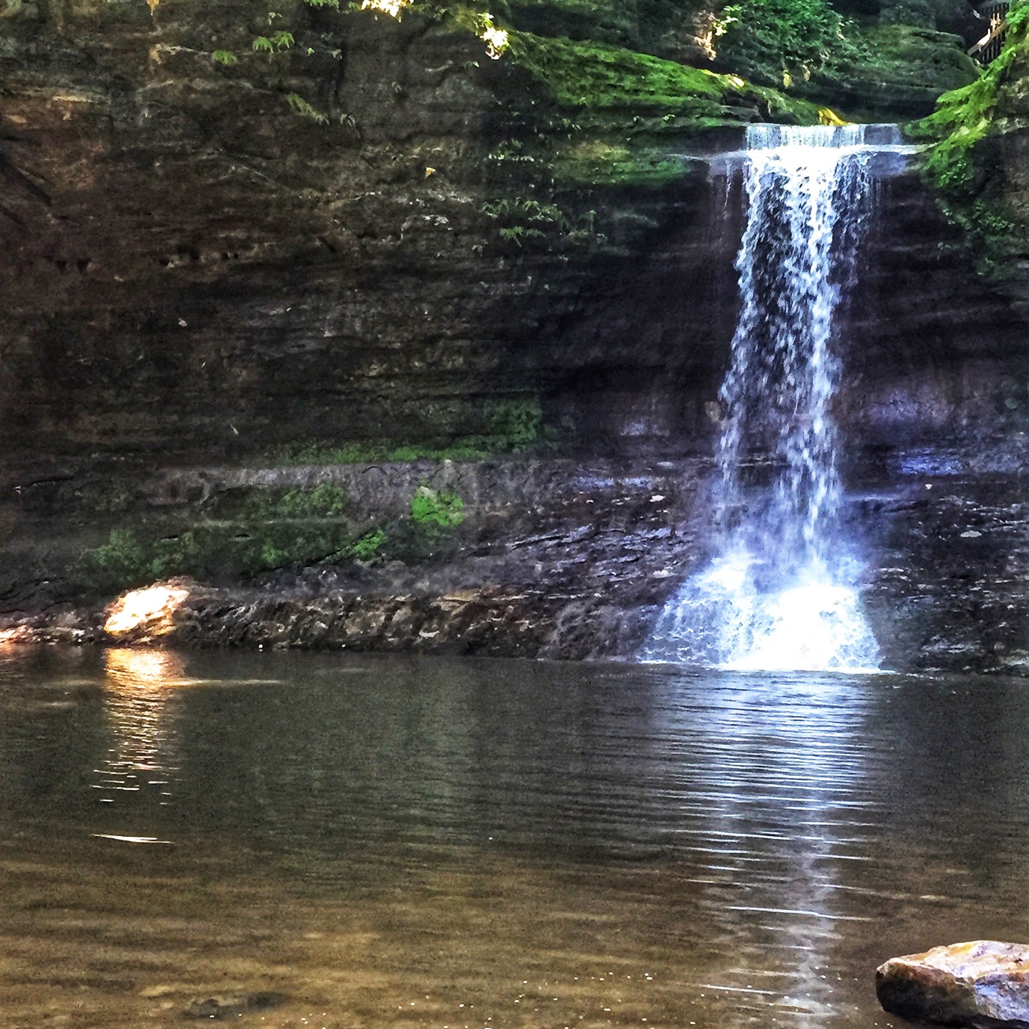 A Little Time and a Keyboard: 25 Northern Illinois Hiking Trails to Explore