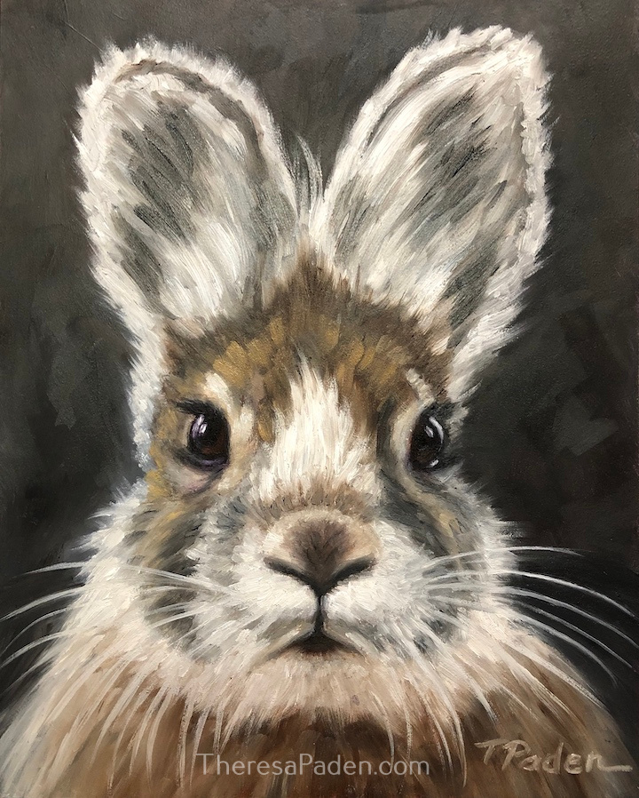 Adorable Rabbit Painting by Wildlife Artist Theresa Paden