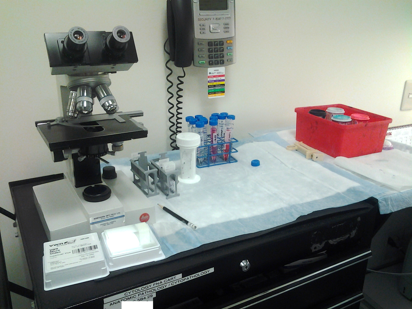 Winding Spiral Case: A Day In The Life: Pathology