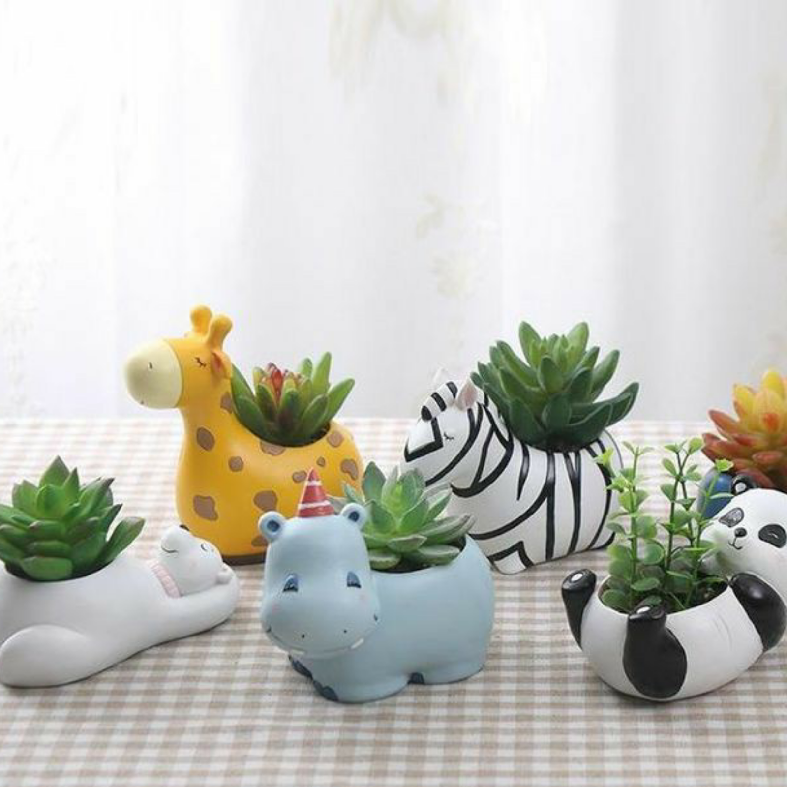 Pot Tanaman Lucu dan Unik - idrora