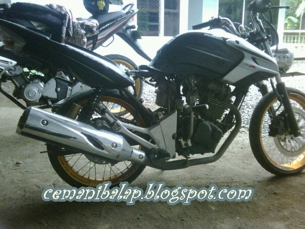 World Speed: tiger revo ceper