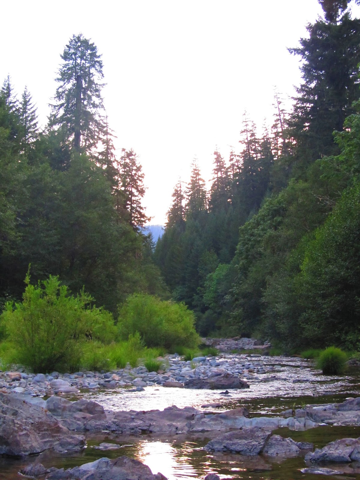 The Closet Hippo: Camping at Yellow Bottom on Quartzville Creek