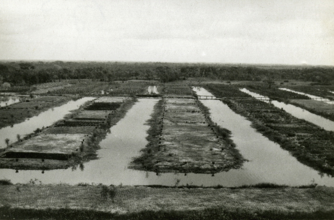A-BAK' 2013: A-BAK’ MATEMÁTICA MAYA: LA CIUDAD DE LOS CANALES (IV)