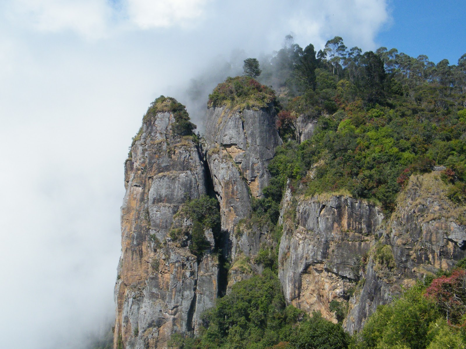 KODAIKANAL TRAVEL VIEWS: PILLAR ROCK KODAIKANAL