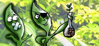 How Plants Changed the History of the World: Biopiracy: Historically ...