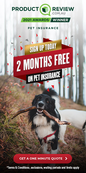 Dog Lovers Book Club - Christmas 2020 | Australian Dog Lover