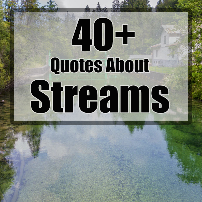 Stream quotes quotes about streams for Instagram