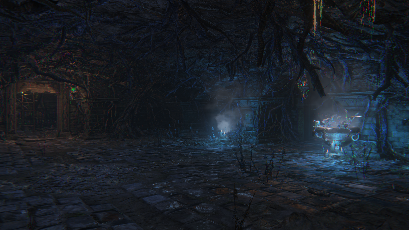 Exploring Test Chalice Dungeons | Bloodborne Wiki