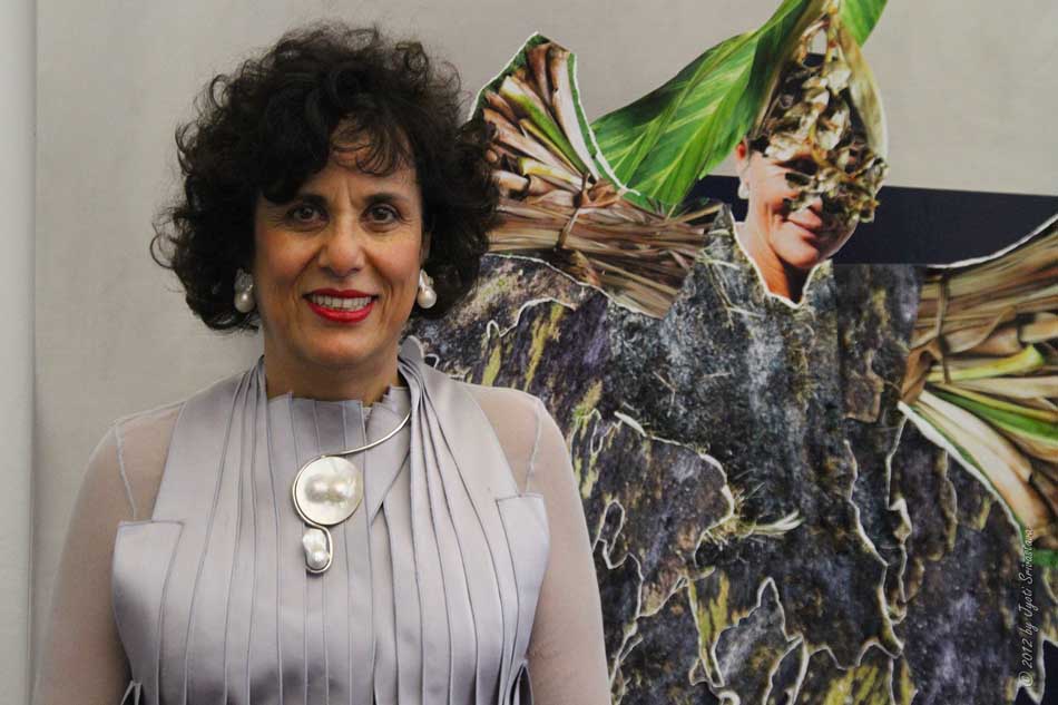 Public Art in Chicago: Denise Milan: Mist of the Earth [Opening Reception]