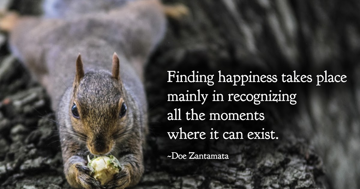 Happiness in Your Life - By Doe Zantamata