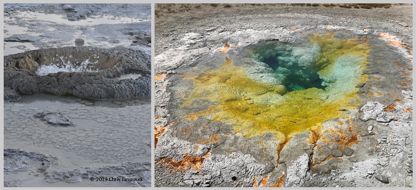 a wilderness journal