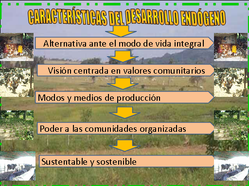 Desarrollo Endogeno: Características del desarrollo endógeno