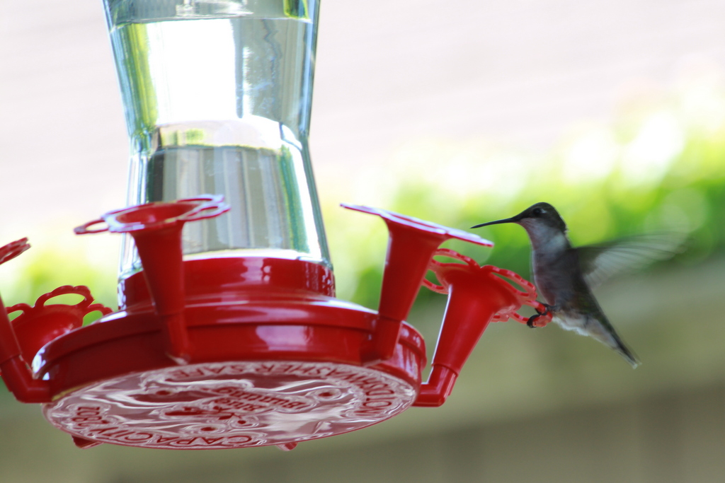 Jumping in Feet First