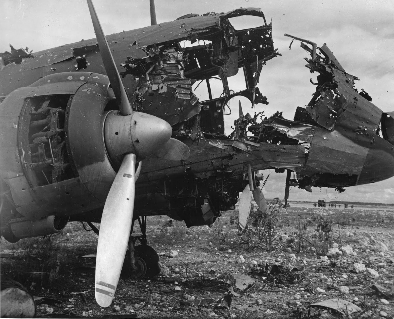 WildEagles: IJAAF & IJNAF wrecked aircraft #37 - Peleliu
