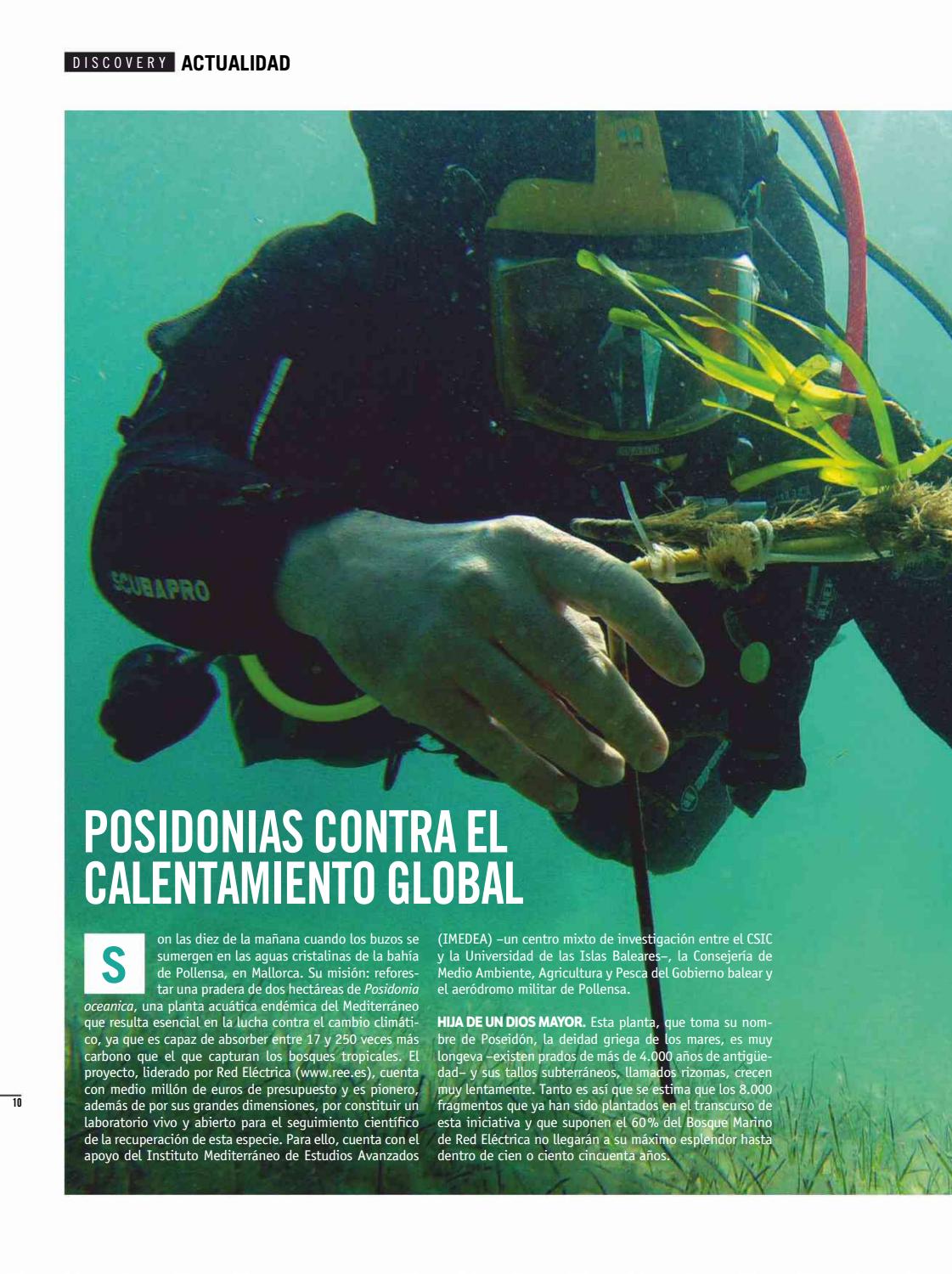 Caleta de cara al mar: SOS OCÉANOS REVISTA MUY INTERESANTE AGOSTO 2019
