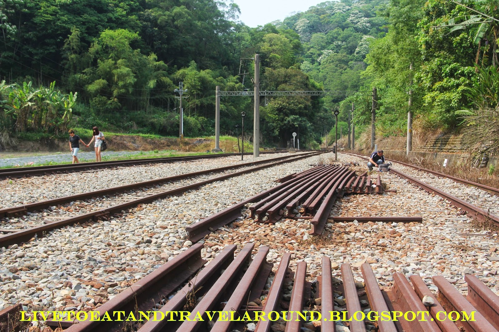 A collection of memories: Taiwan: Day 4 Shengxing Railway Station 胜兴车站