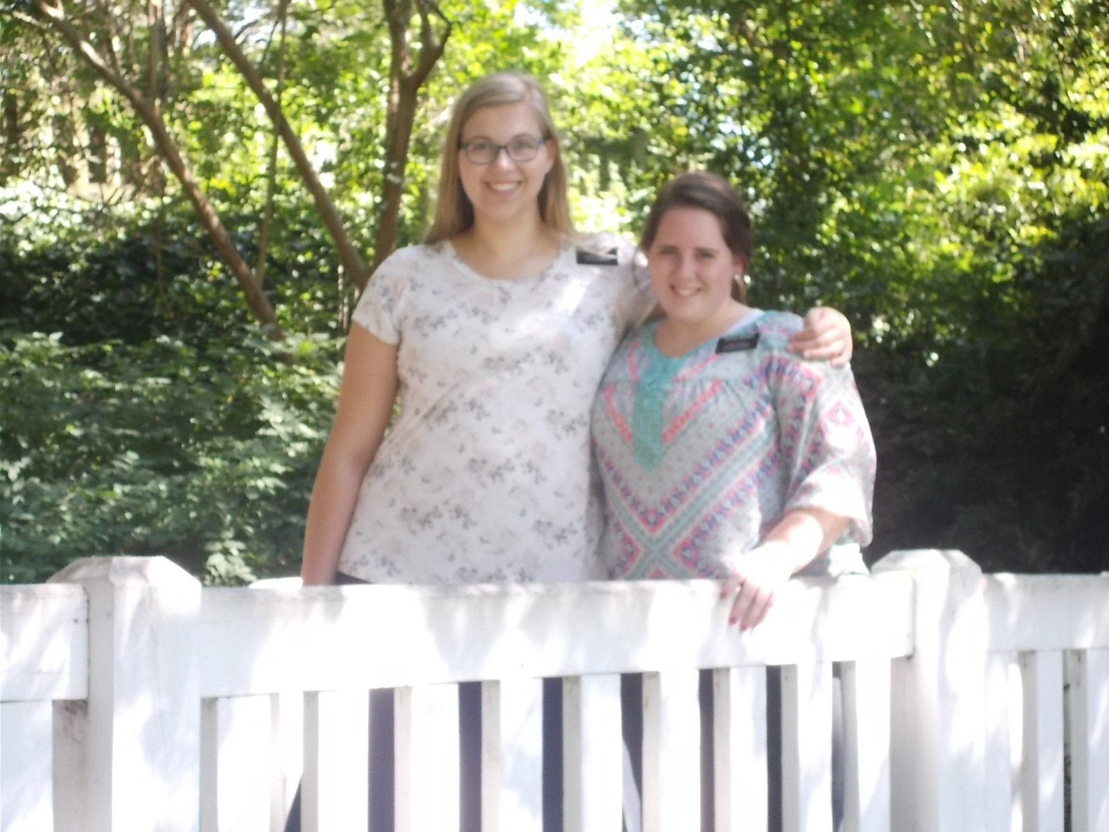 Journey Through Georgia: Below the Gnat Line