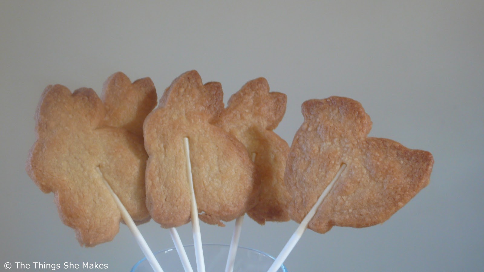 Spring Lollipop Biscuits | The Things She Makes