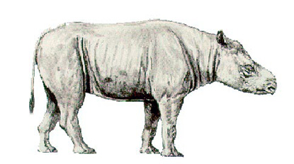 Hronoblog: 55.8-33.9 млн лет назад.Эпоха эоцена.Жизнь 4.