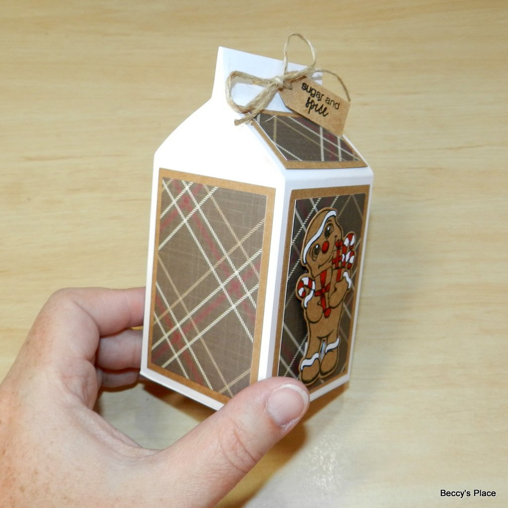 Beccy's Place: Tutorial - Milk Carton Box