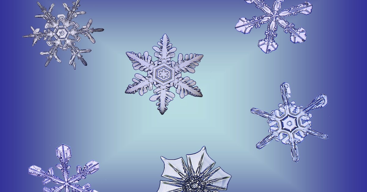 The Weather Around Us: Photographing Snow Crystals - On A Budget