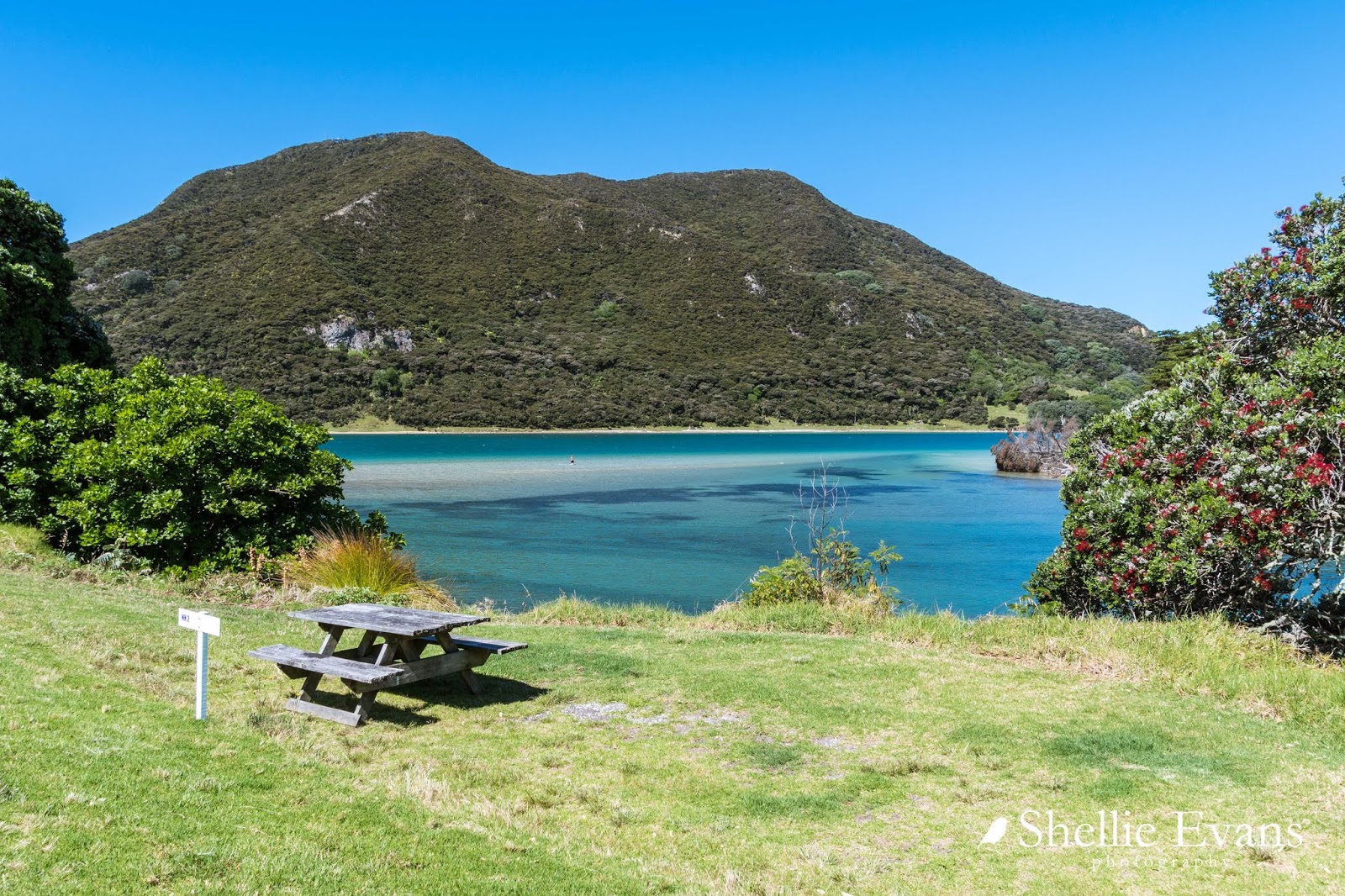 Two Go Tiki Touring: History at Houhora Heads