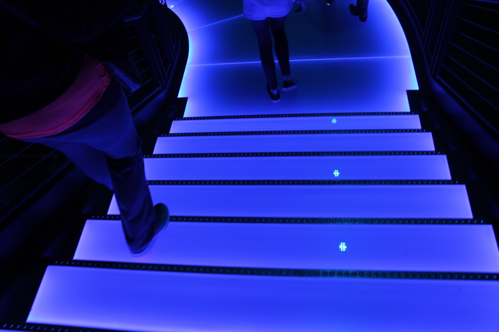 The Missouri Mom: Johnny Morris’ Wonders of Wildlife National Museum ...