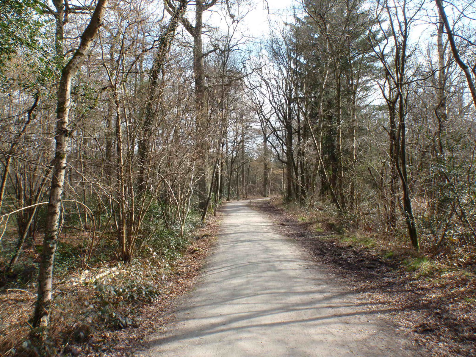 Walking Jeff: Wandeling Zoersel 22/03/2016