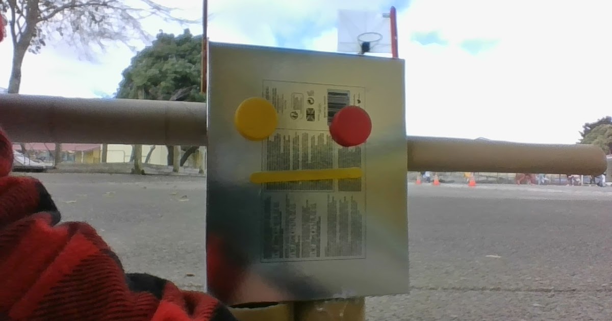 Max @ Waitohu School: The wild robot