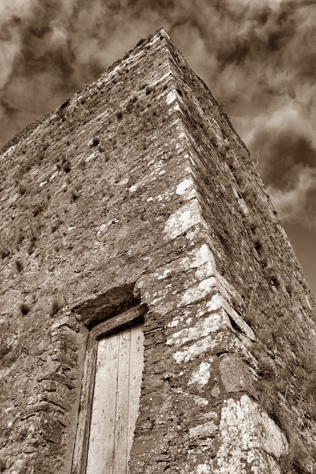Historic Sites of Ireland: Ferrycarrig Castle