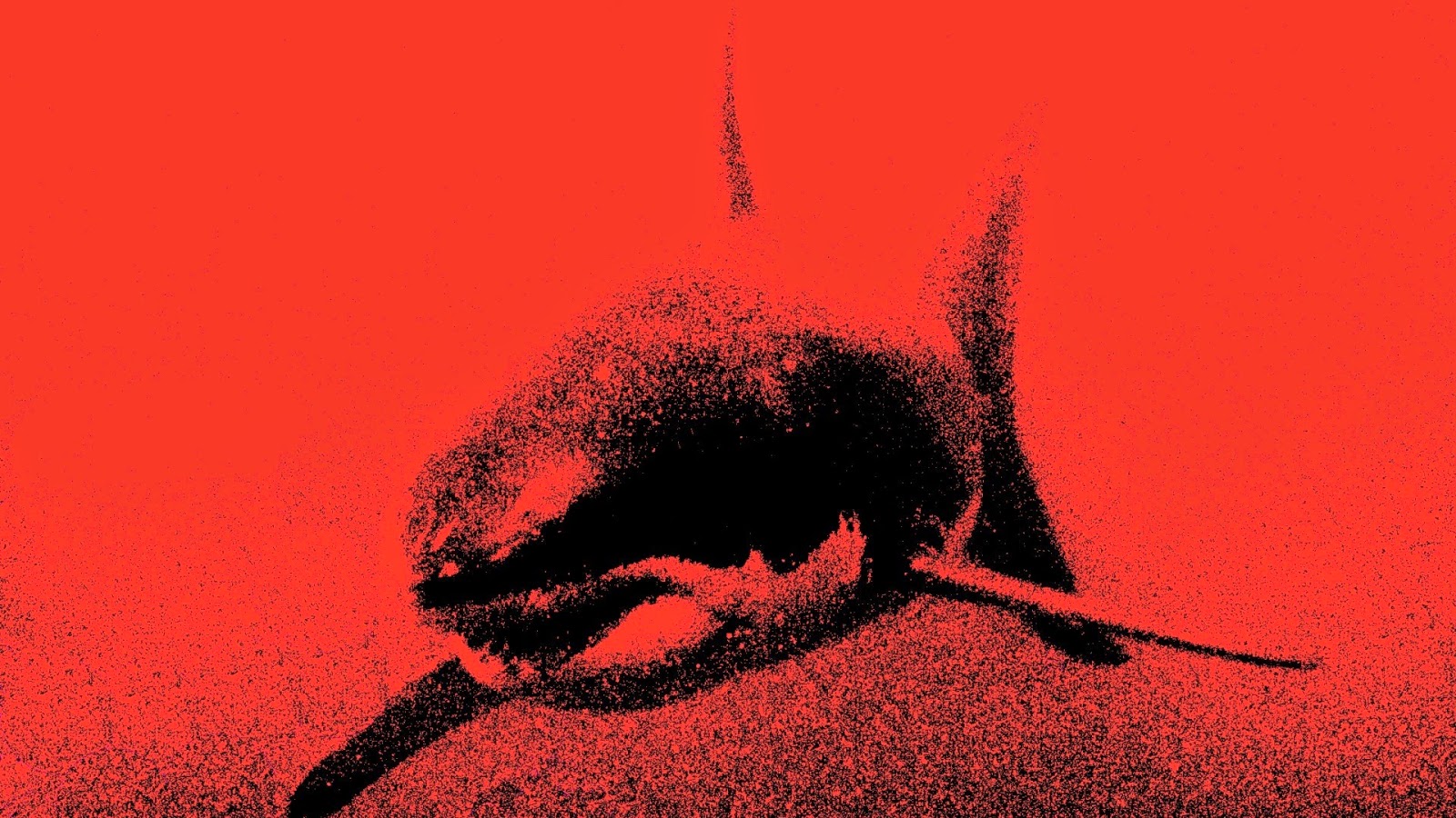 Kaliteli HD Resimler - HD Wallpaper