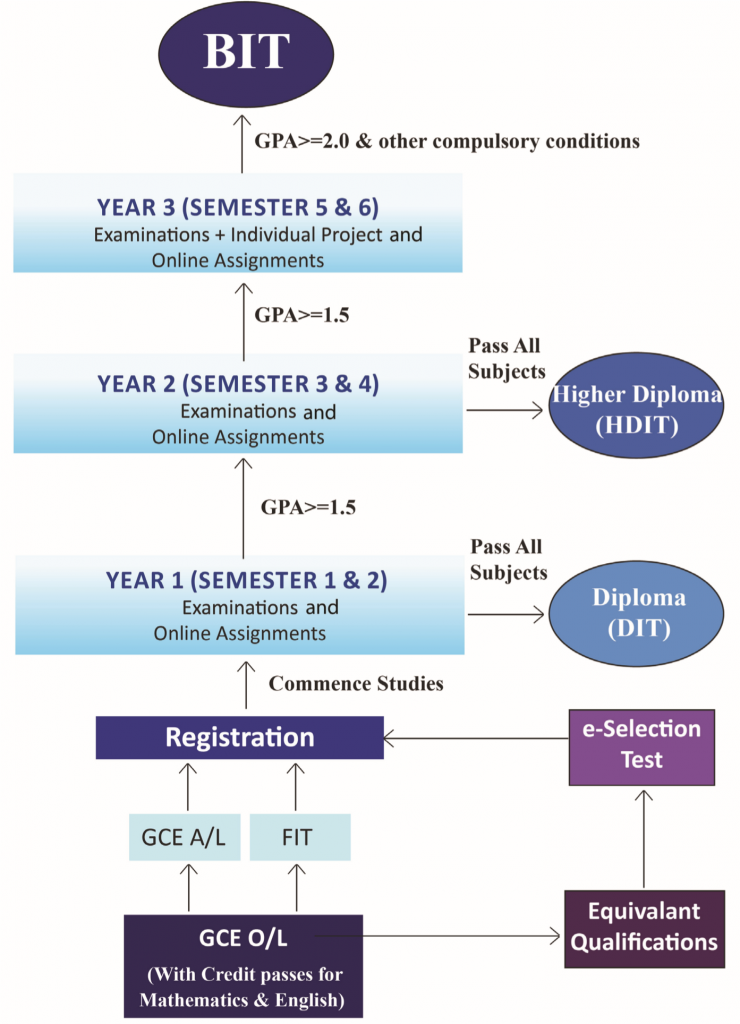 BIT - PROGRAM DETAILS - Tutor Colombo