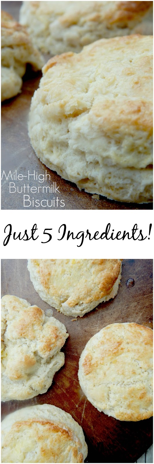 Mile-High Buttermilk Biscuits | Ally's Sweet & Savory Eats
