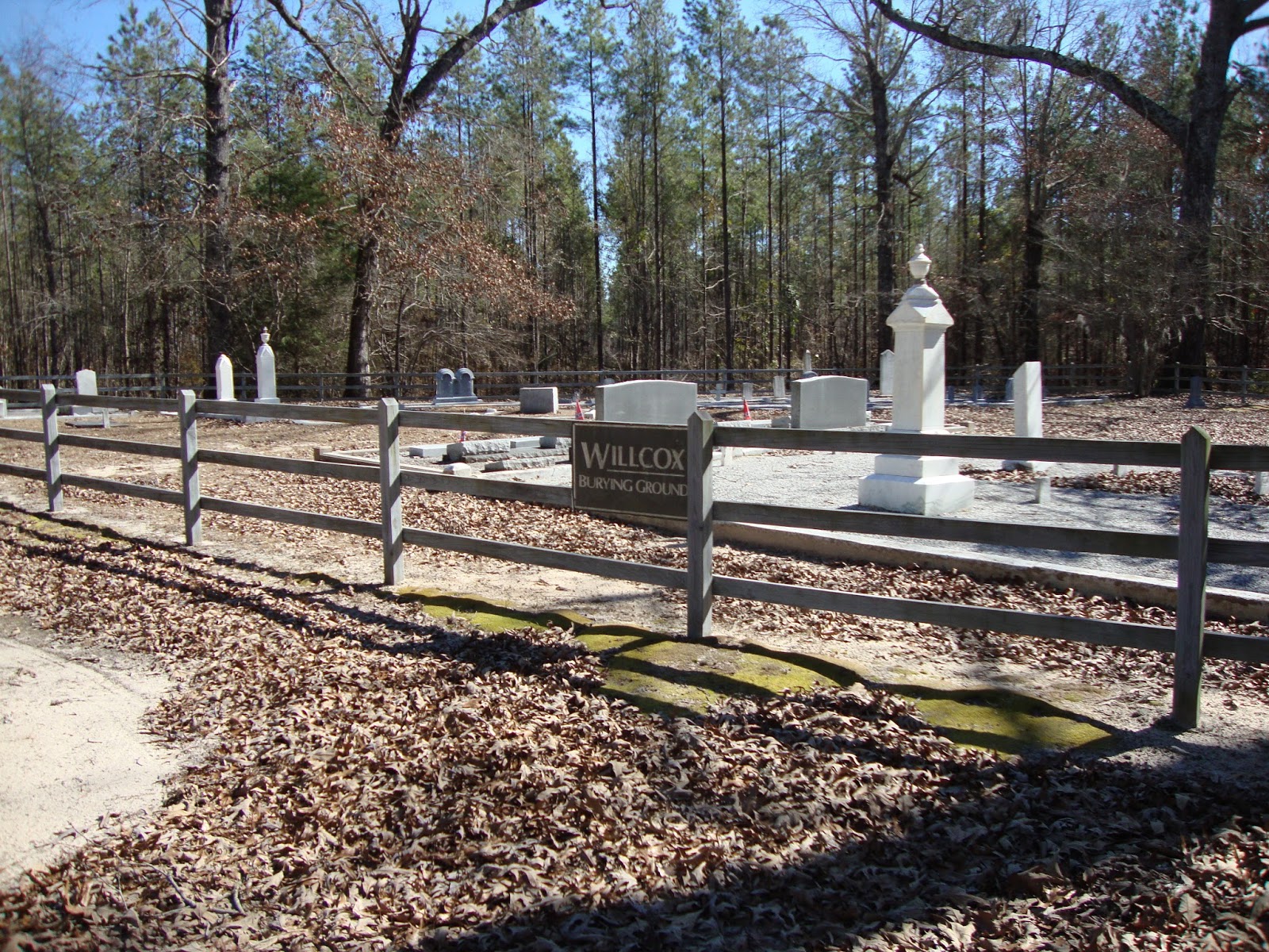 Thomas Willcox Family: Willcox Cemetery in Georgia