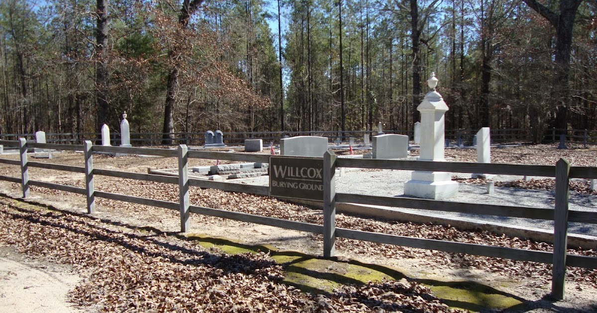 Thomas Willcox Family: Willcox Cemetery in Georgia