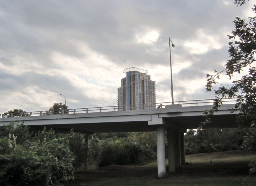 Houston in Pics: Houston Bat Colony: