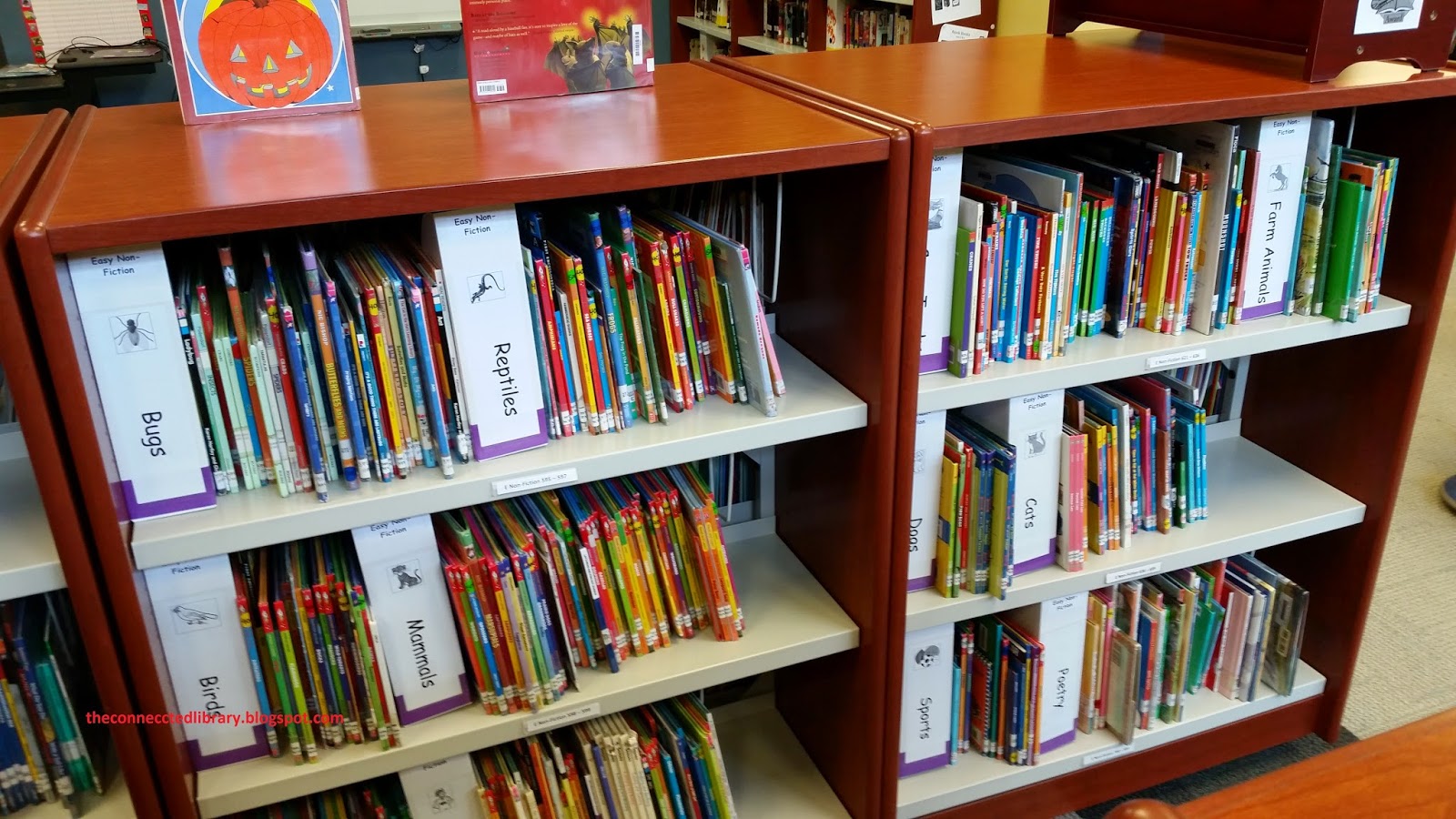 HSD36 Library Blog: Library Organization and Flexible Spaces