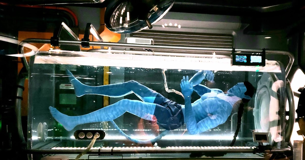 Disney at Heart: Photo of the Week