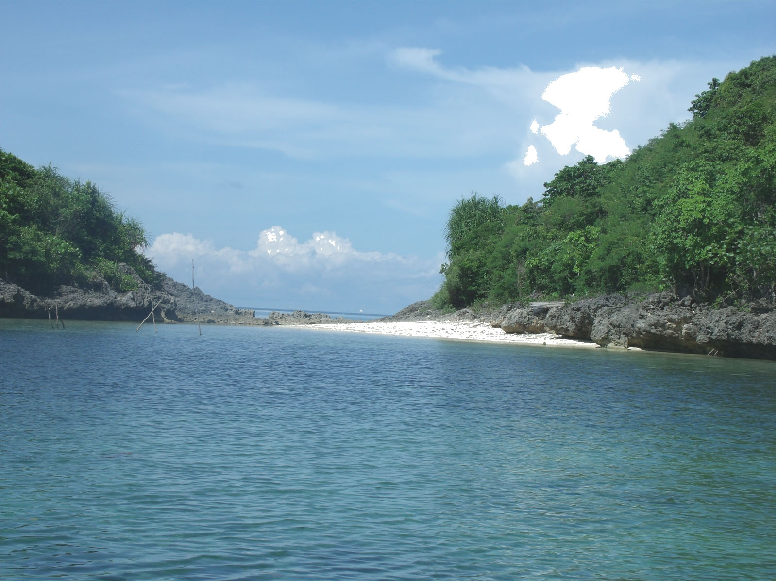 Travel Bug: A creepy-crawly trip: Island Trip @ Guimaras